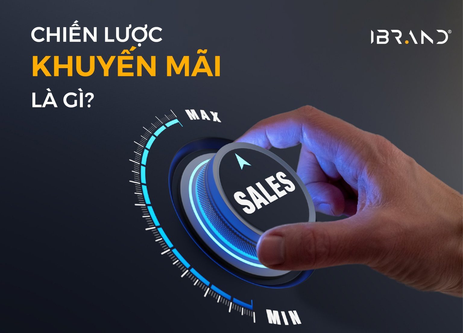 Chiến Lược Khác Biệt Hóa Là Gì? 7 Case Studies Thành Công